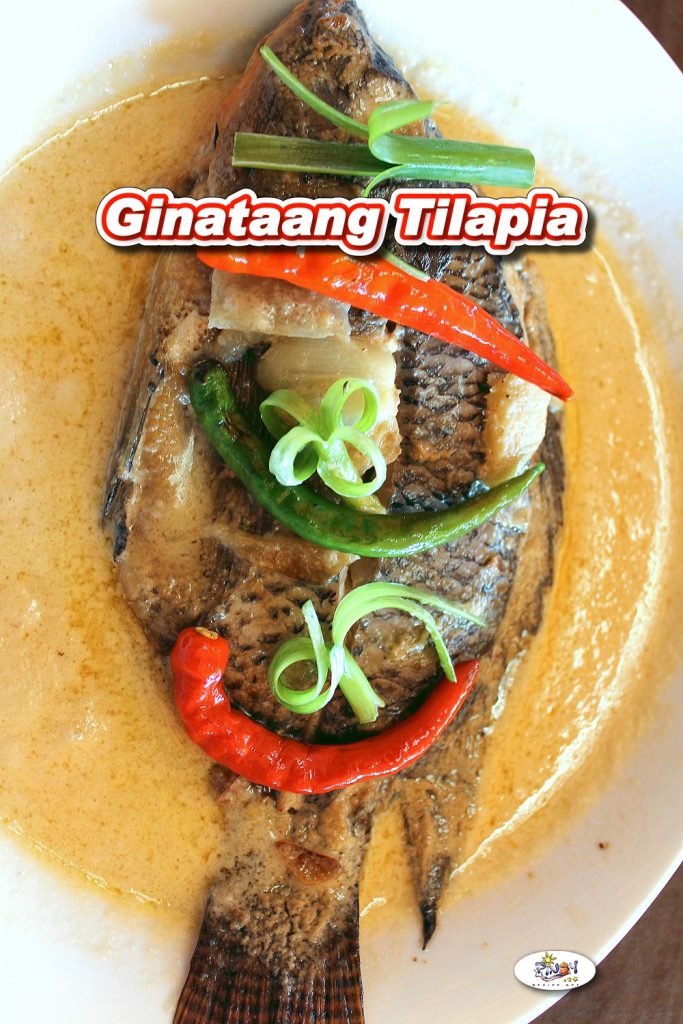 Ginataang Tilapia Recipe - Pinoy Recipe at iba pa