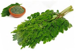 Top 12 Filipino Superfoods you should eat to boost your Immune System ...